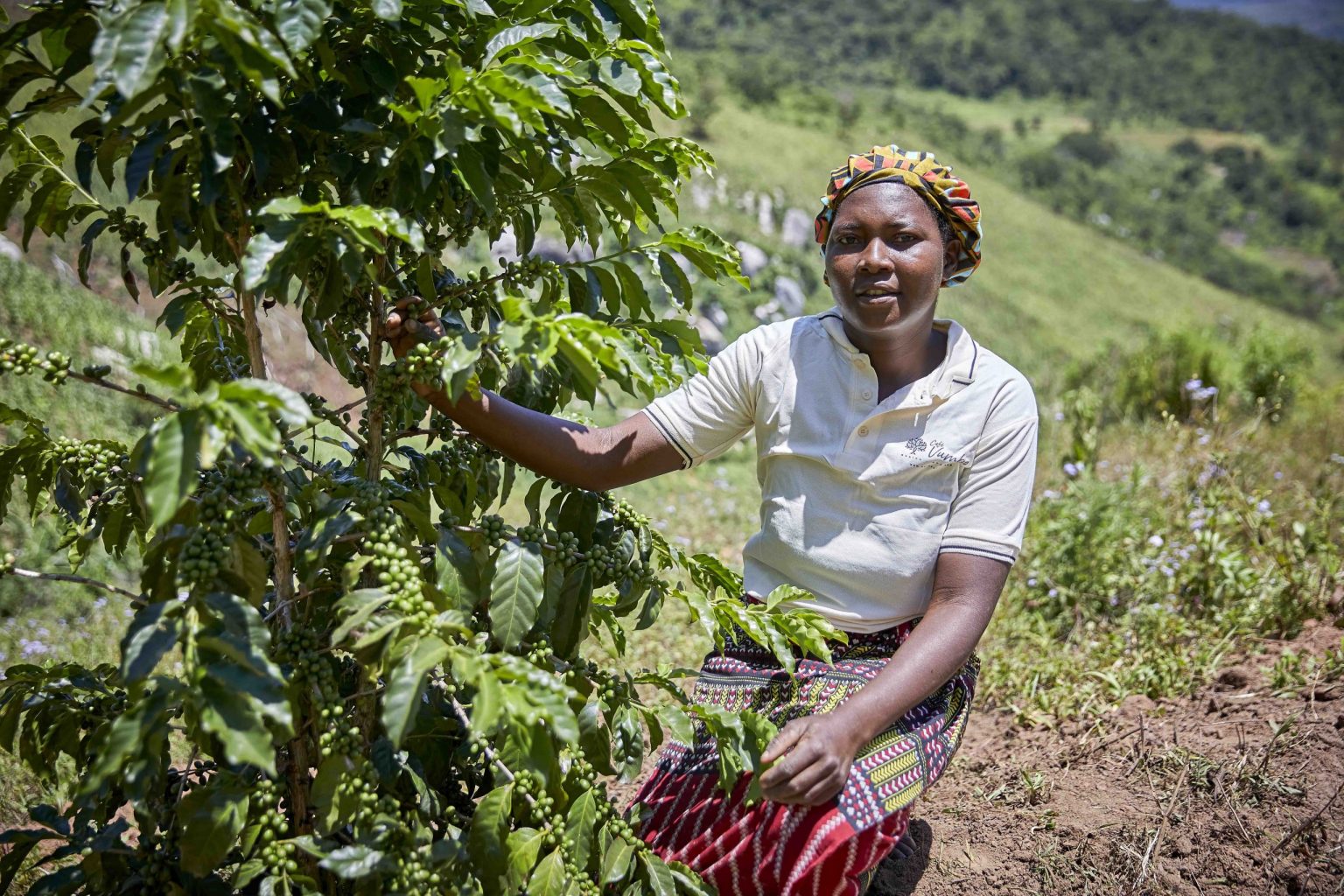 About | Café Vumba - Coffee from Mozambique